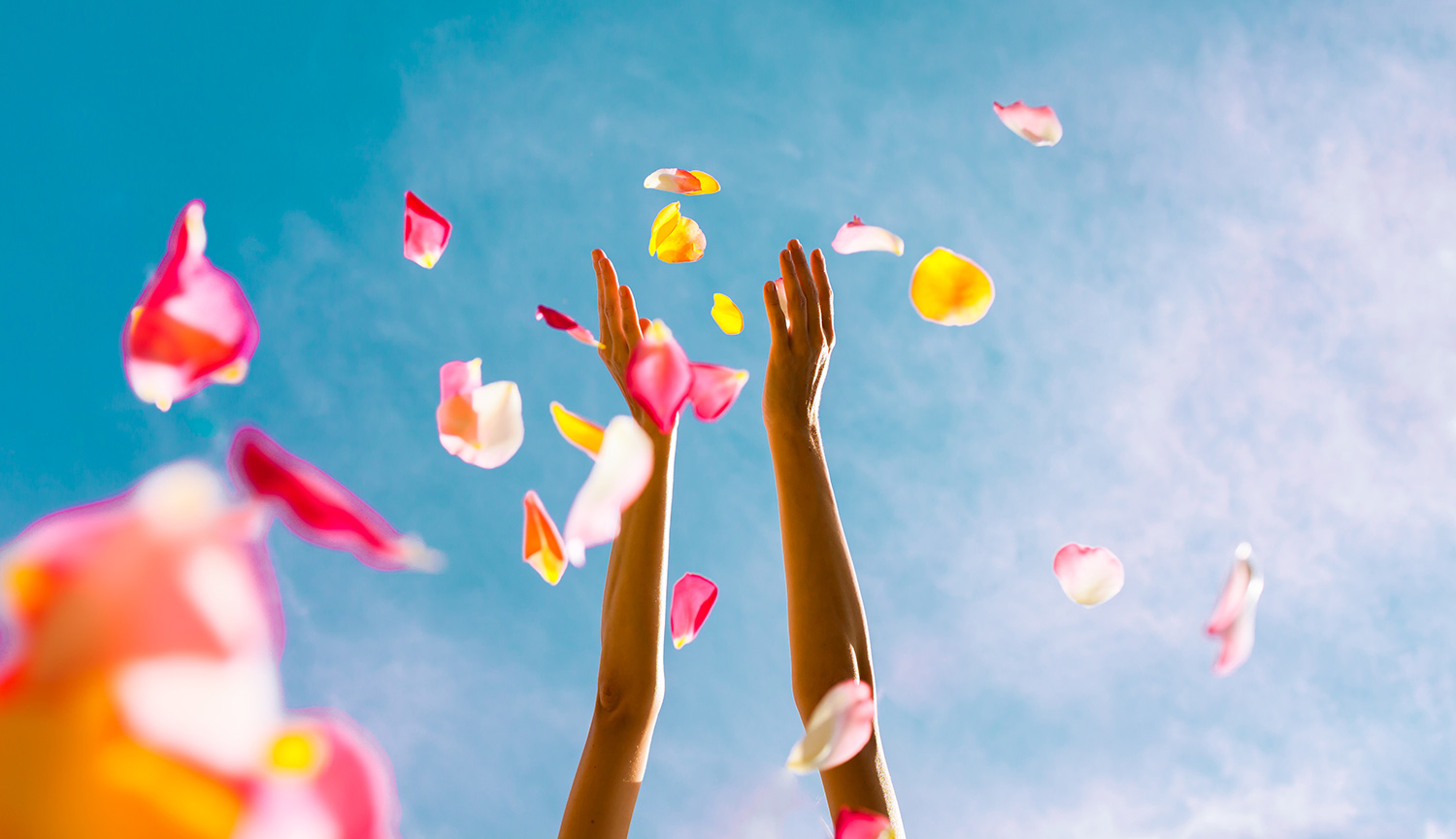 Happy Firedversary! - PeopleGettersPeopleGetters